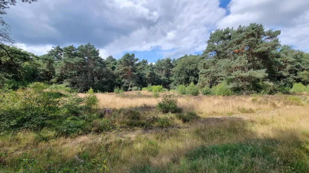 Benderse en Anserdennen - Wandelen met Jolanda - InWesterveld Magazine ...